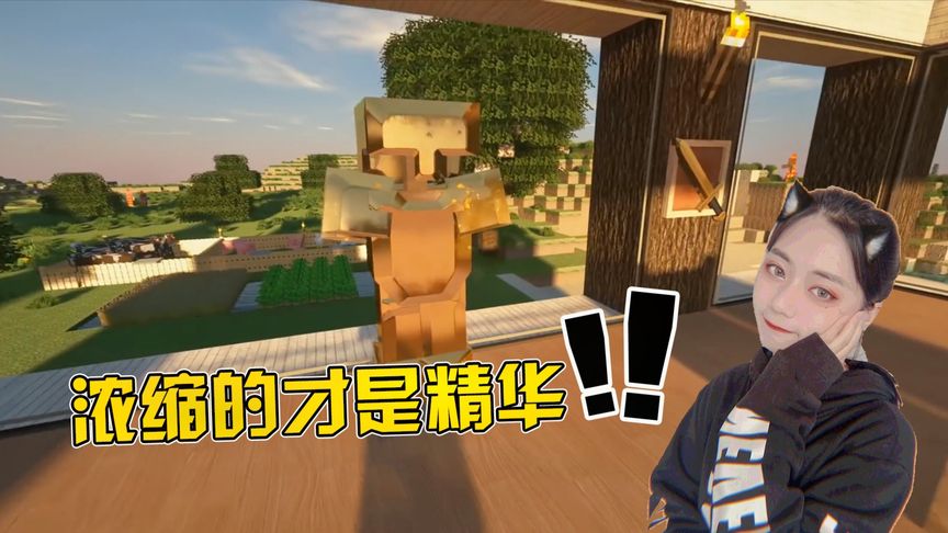 我的世界:居然有人怀疑我开创造拿东西?是时候让你看我的箱子了