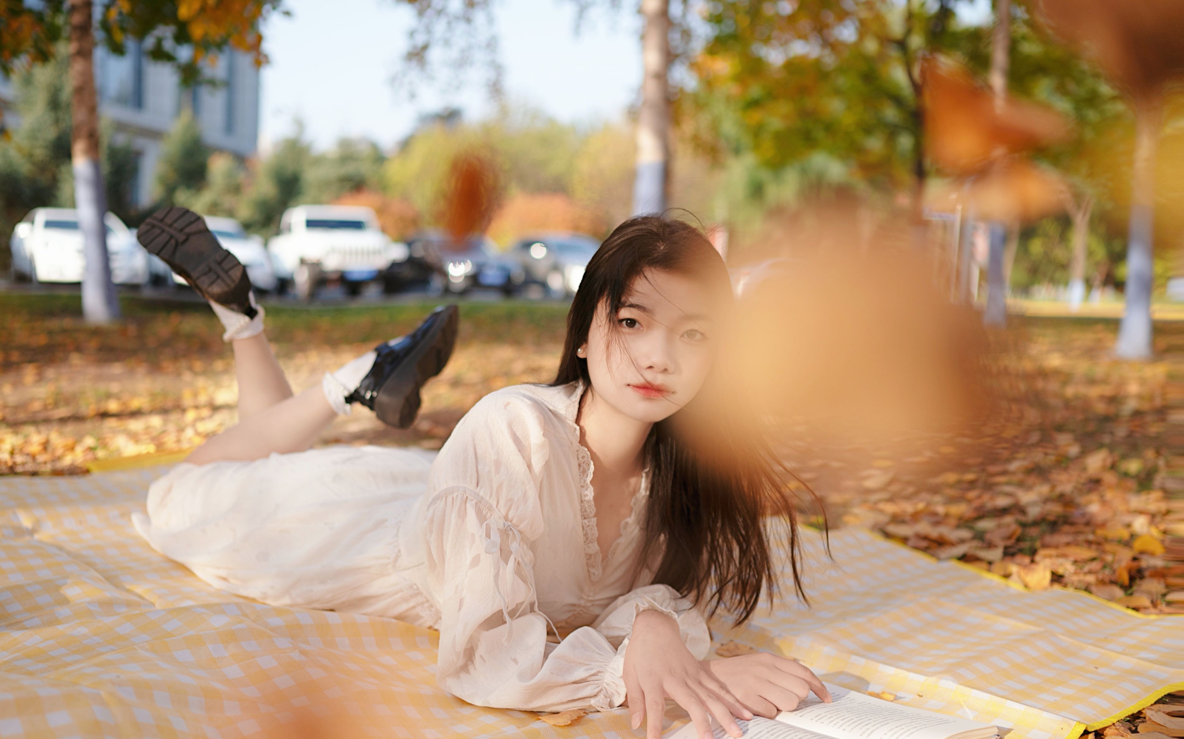 【秋日写真】在图书馆门口拍摄的第一组照片