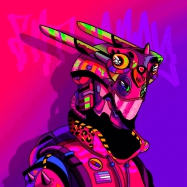 小曾的运营手记 