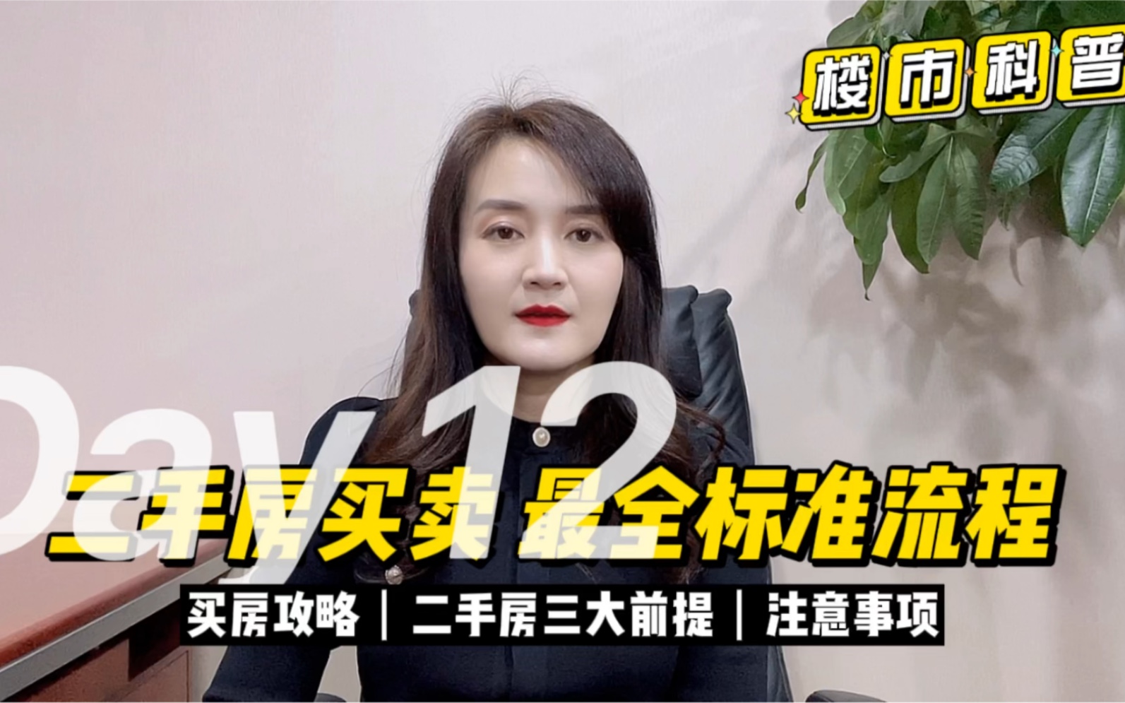 【买房攻略】二手房买卖 三大前提 重要流程