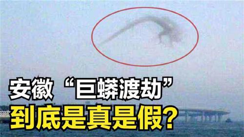 安徽出大事了,巨蟒渡劫被闪电击落!村民纷纷围观!