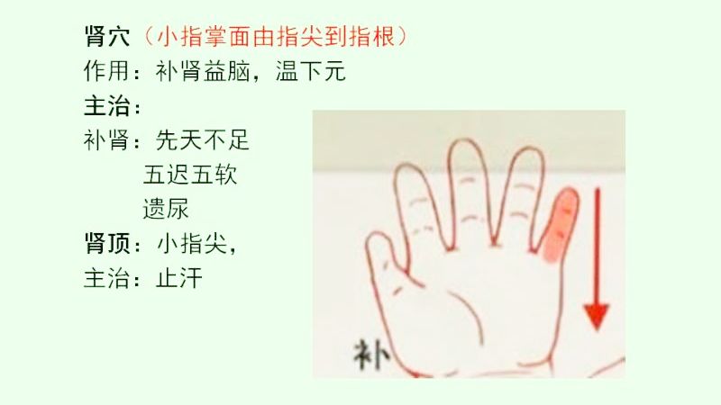 小儿推拿培训第十六节:小儿推拿常用穴的功能与位置2