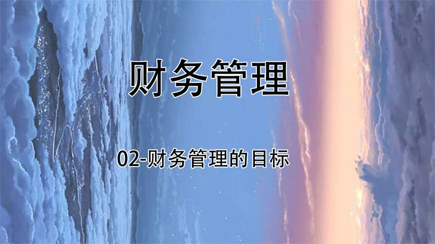 财务管理-02-财务管理的目标