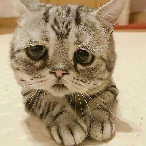 云里雾里设计拉吉 