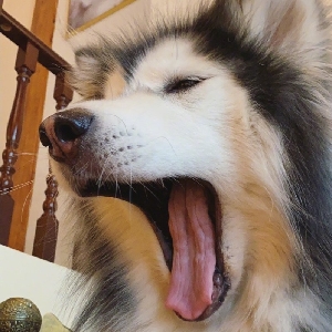 Asmism 