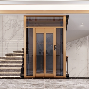 上海巨菱家用别墅电梯 