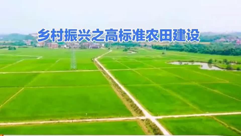 乡村振兴之高标准农田建设