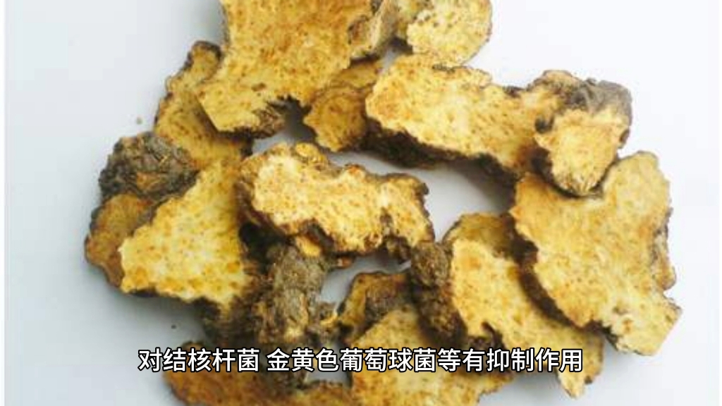 苍术的作用与功效