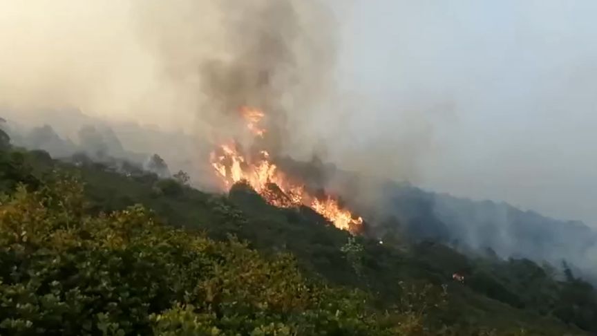 四川凉山再次突发森林火灾 800余人沿火线扑救