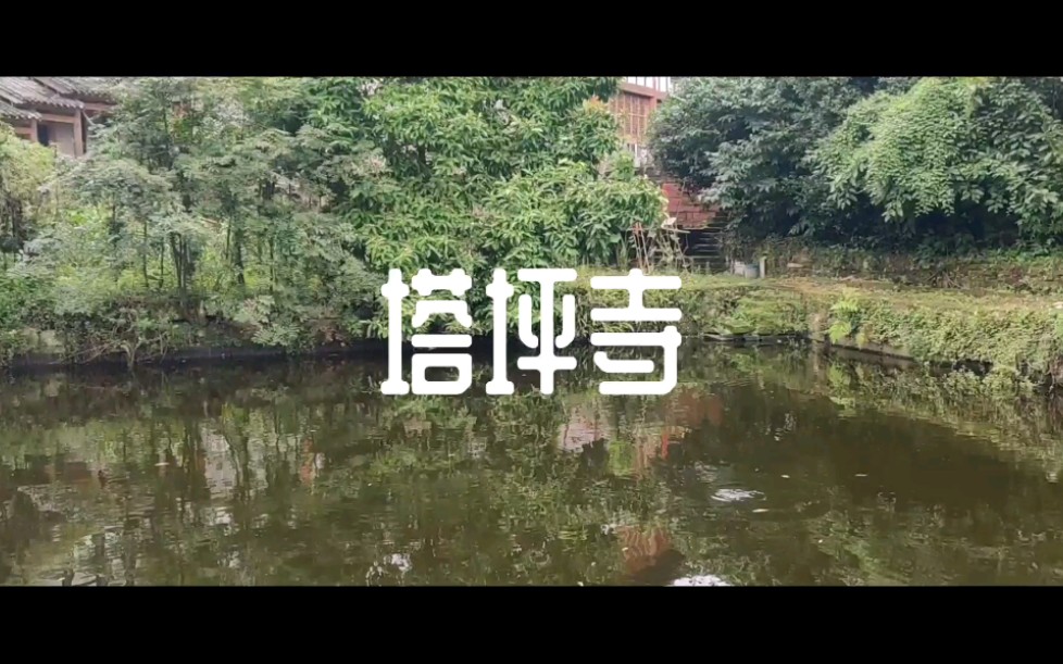 资深导游讲解重庆北碚静观的塔坪寺