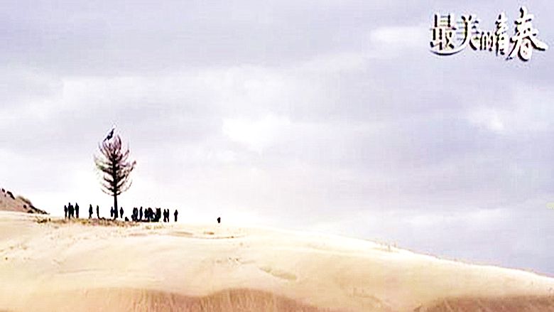高原荒漠塞罕坝上的最美的人