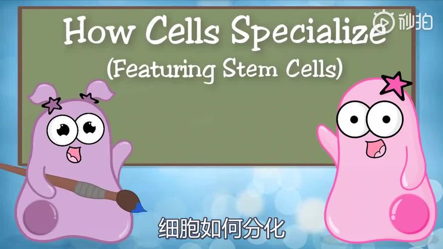 【从多能到专一,看干细胞的分化之路】