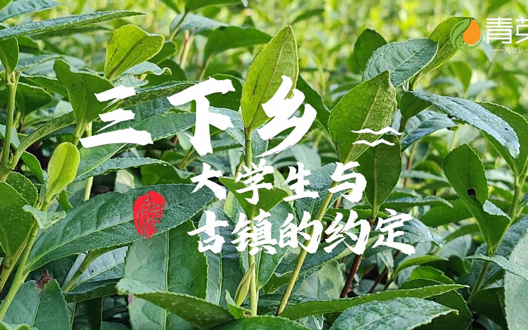 【2023三下乡】“访茶乡古镇振乡村之兴”|成都理工大学产业技术...