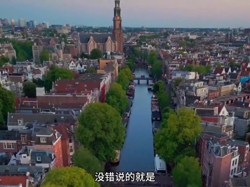 如果没有十几年的驾龄 那我劝你在阿姆斯特丹最好骑自行车