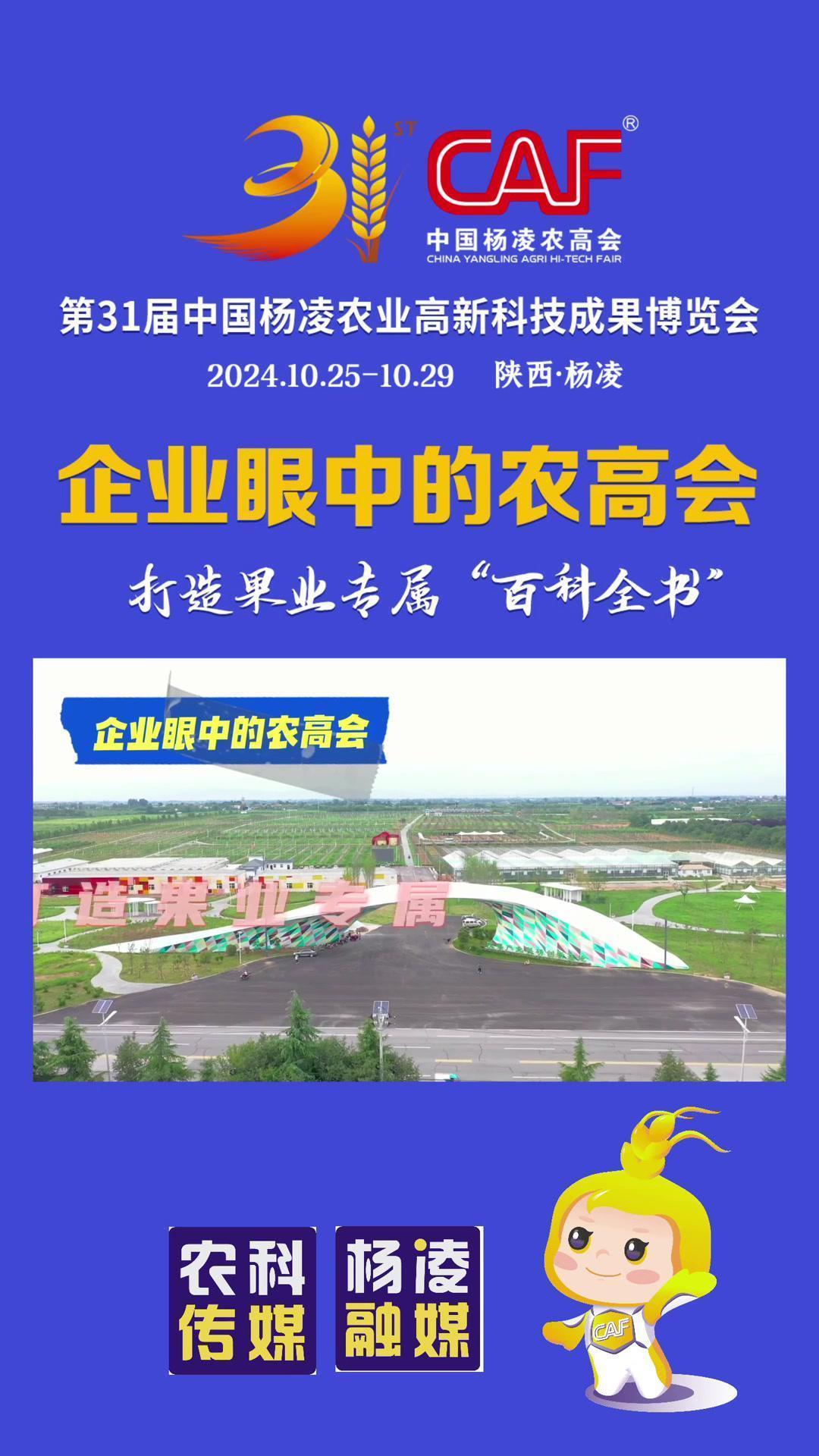 ...公司在技术推广、市场拓展、业务合作、品牌建设等方面有了大幅...