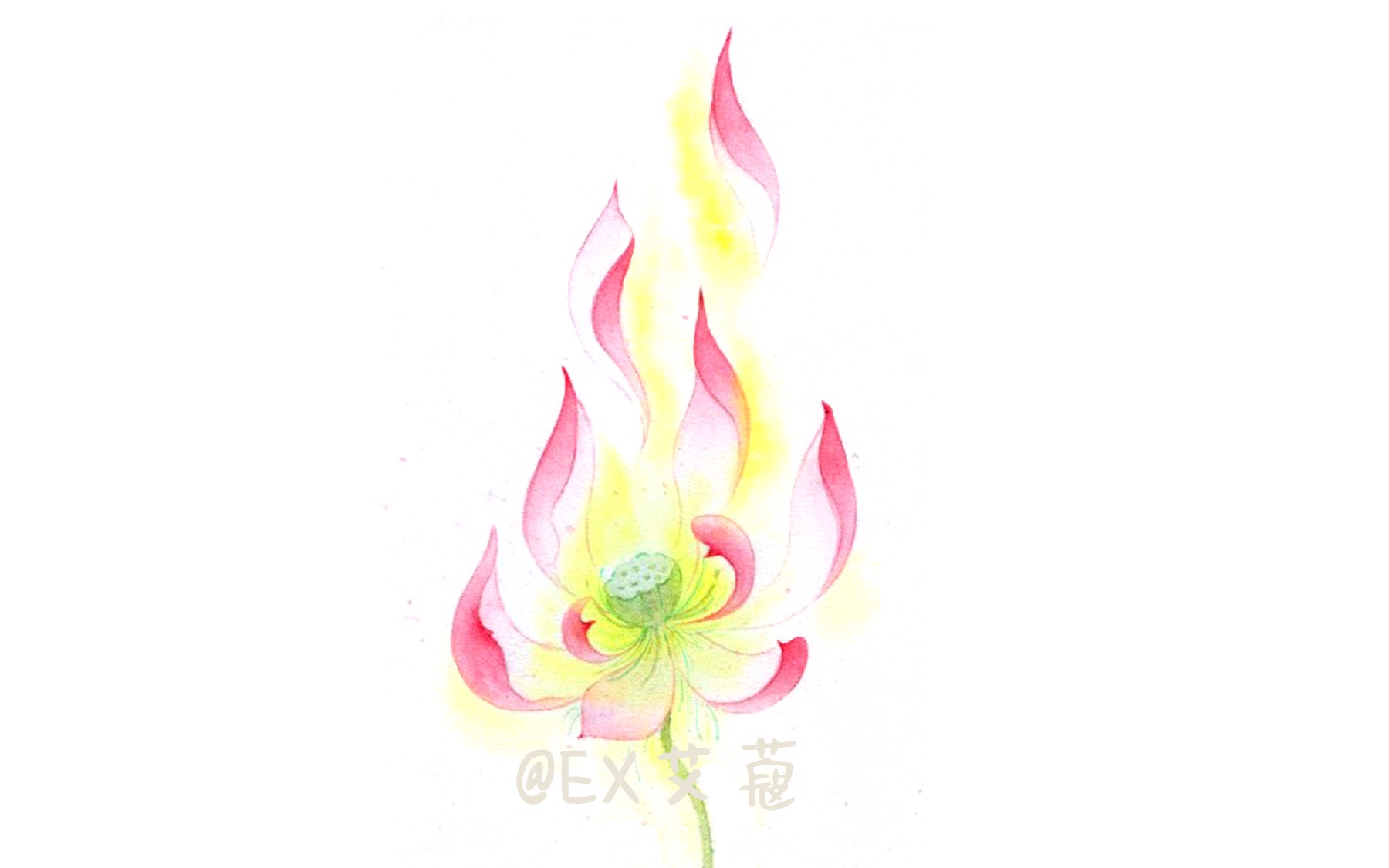 7水彩单色渐变画荷花