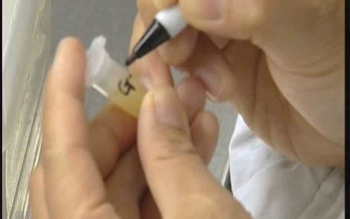 基因组DNA的提取的简化步骤
