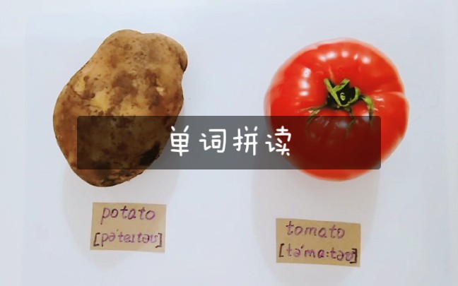 单词拼读·potato·土豆·tomato·西红柿·幼小衔接·英语·学习...