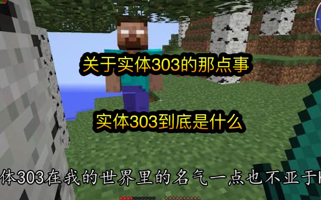 我的世界:关于实体303的那点事,实体303到底是什么