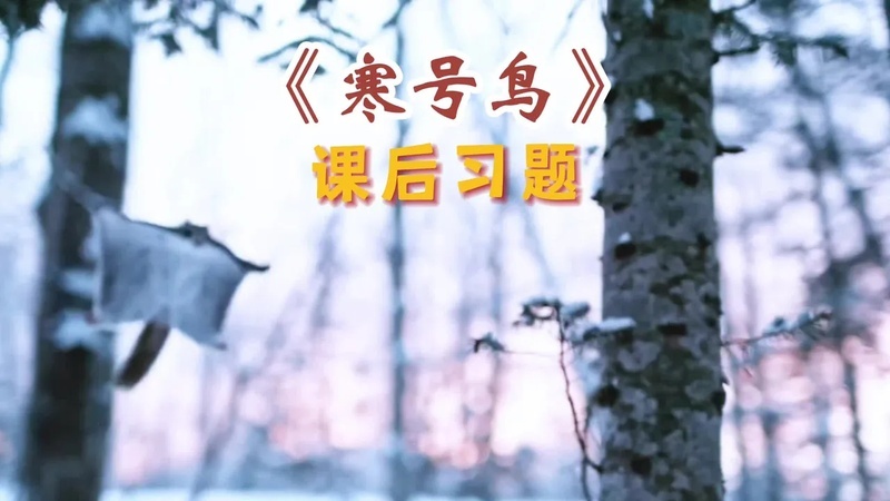 二年级语文上册《寒号鸟》课后句子仿写
