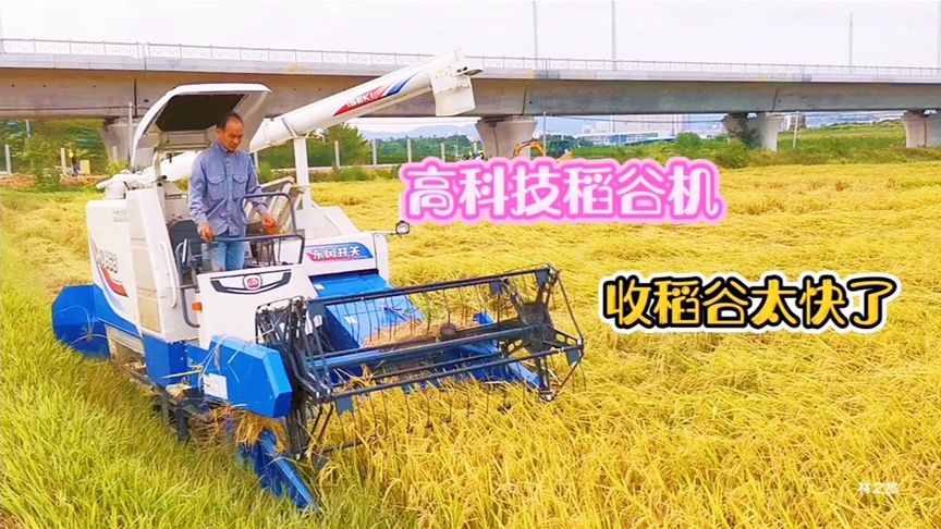 我家收稻谷都是手工,深圳人太有钱了,收稻谷都用机器