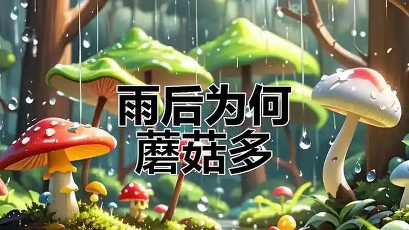为什么雨后蘑菇疯长揭秘背后的生长原因