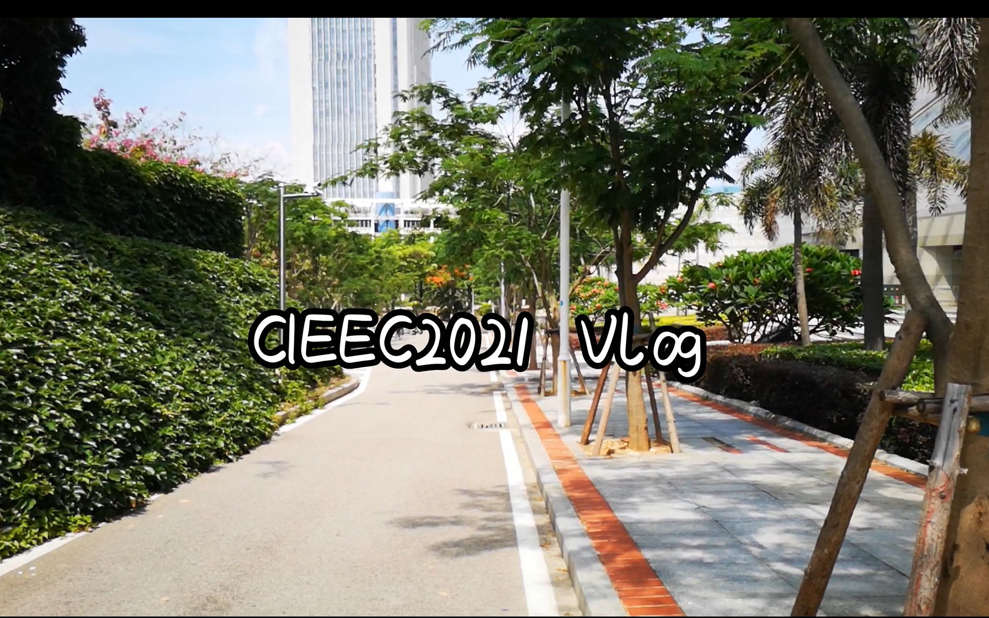 ...武汉旅行|英文学术报告|和老同学、好朋友见面|希尔顿酒店|黄鹤楼|...