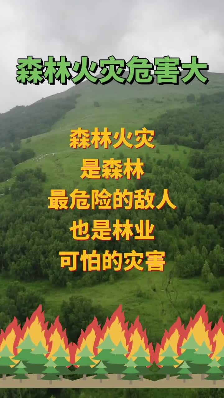 【森林火灾】安全,共享森林美景,严防森林火灾
