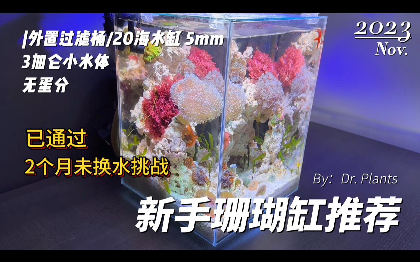 【海缸笔记】水族-20珊瑚海缸-外置过滤桶