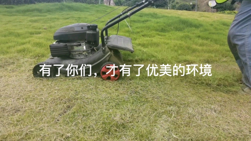 我们生活的环境如此美丽,都是因为有许许多多各行各业的劳动者的...