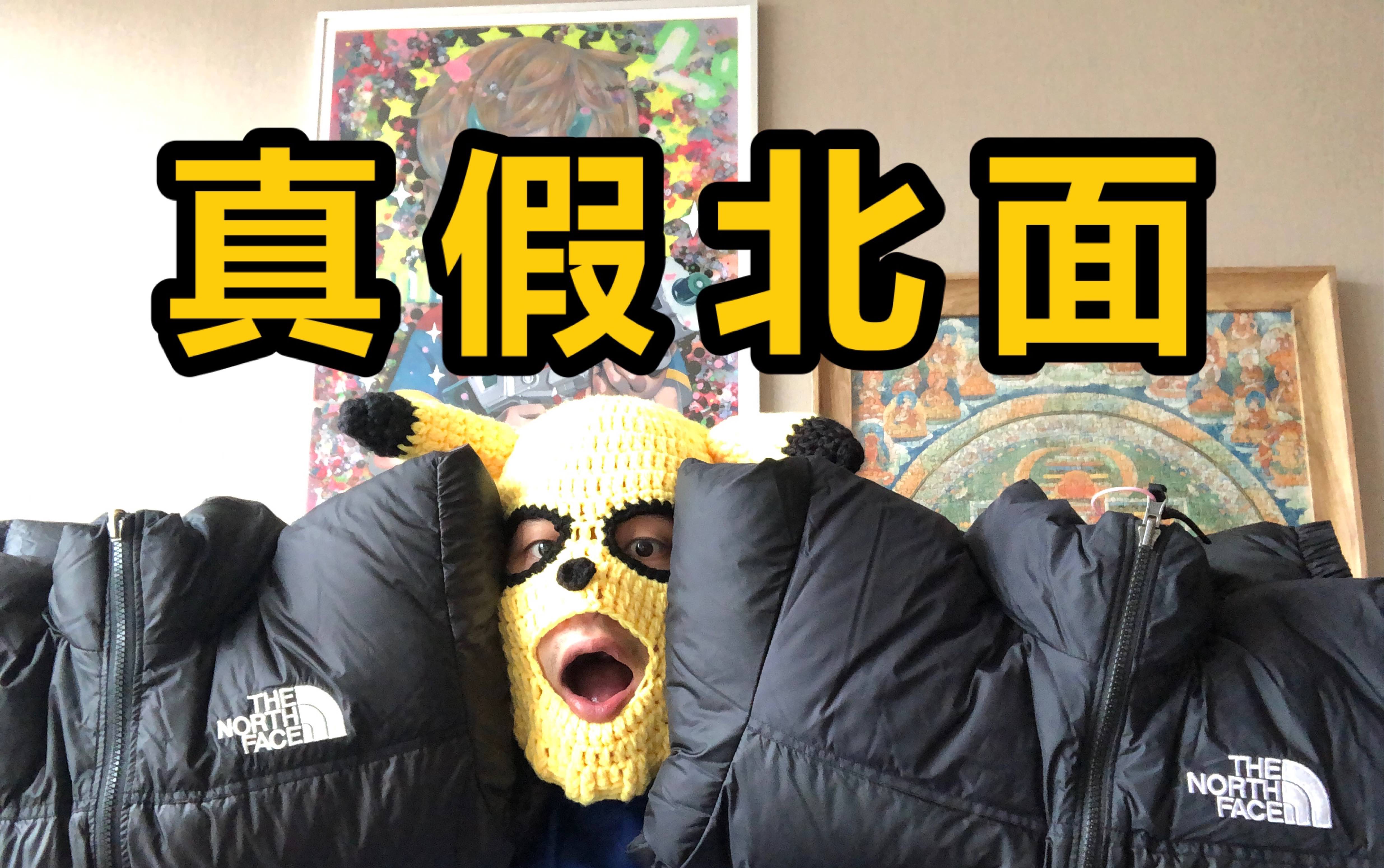 【贫民鉴定】最强TNF北面羽绒服真假对比