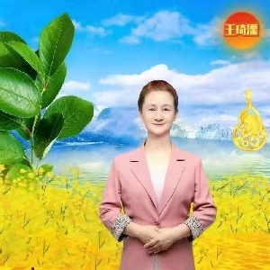 琦琦爱旅游 