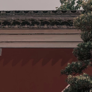 从枭 