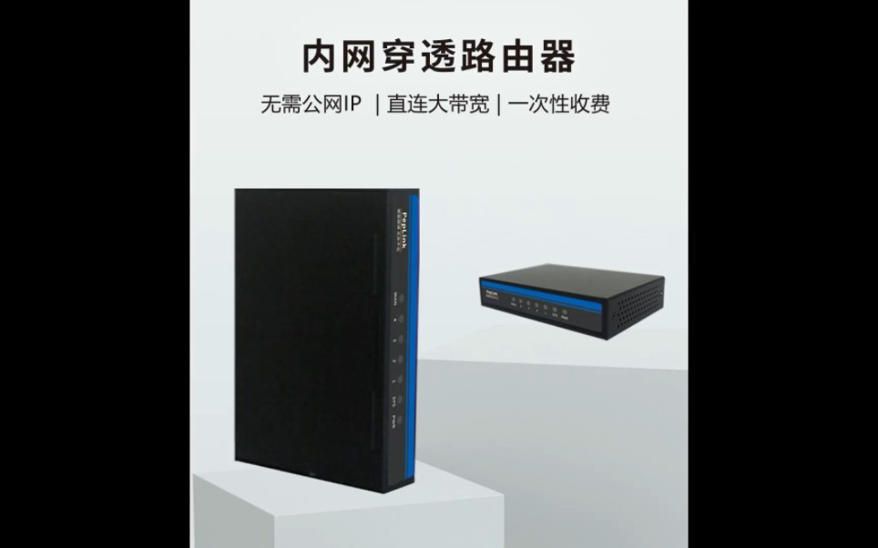 ...可实现远程桌面,远程访问NAS,异地监控,远程办公,远程打印,电脑远程...
