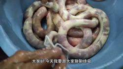 绦虫:它们的存在和对人类的影响