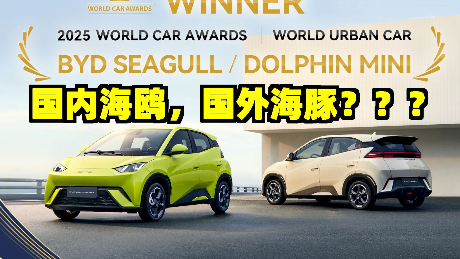 在国内你叫我小海鸥我不挑你的理,出了国门就得叫海豚!