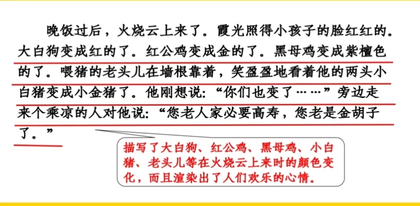 三年级下册语文24《火烧云》课文讲解