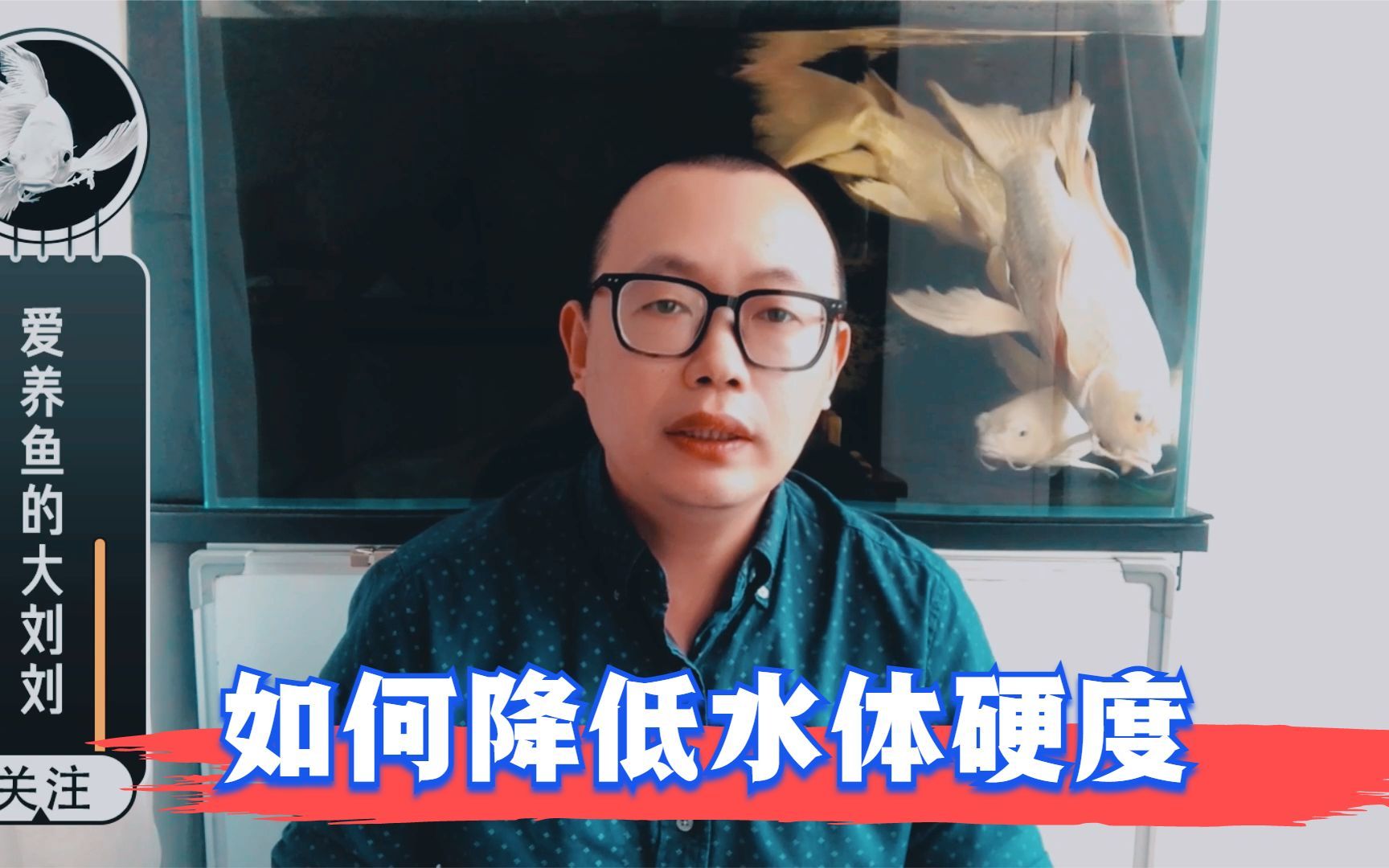 如何降低鱼缸水体硬度?