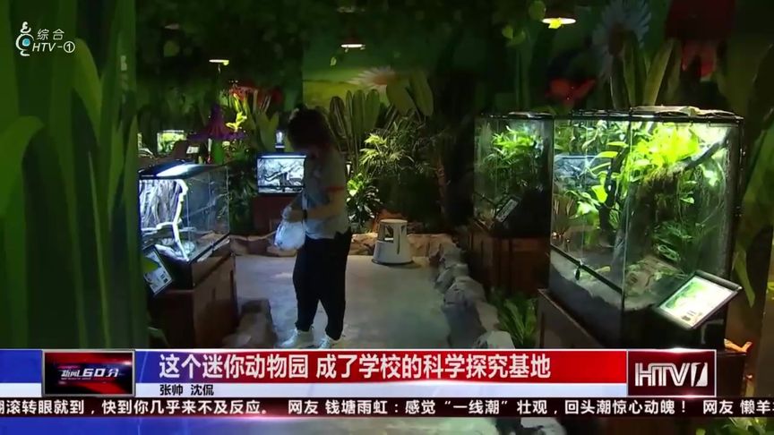 “迷你动物园”专门开在商场里,成为了学校的科学探究基地!