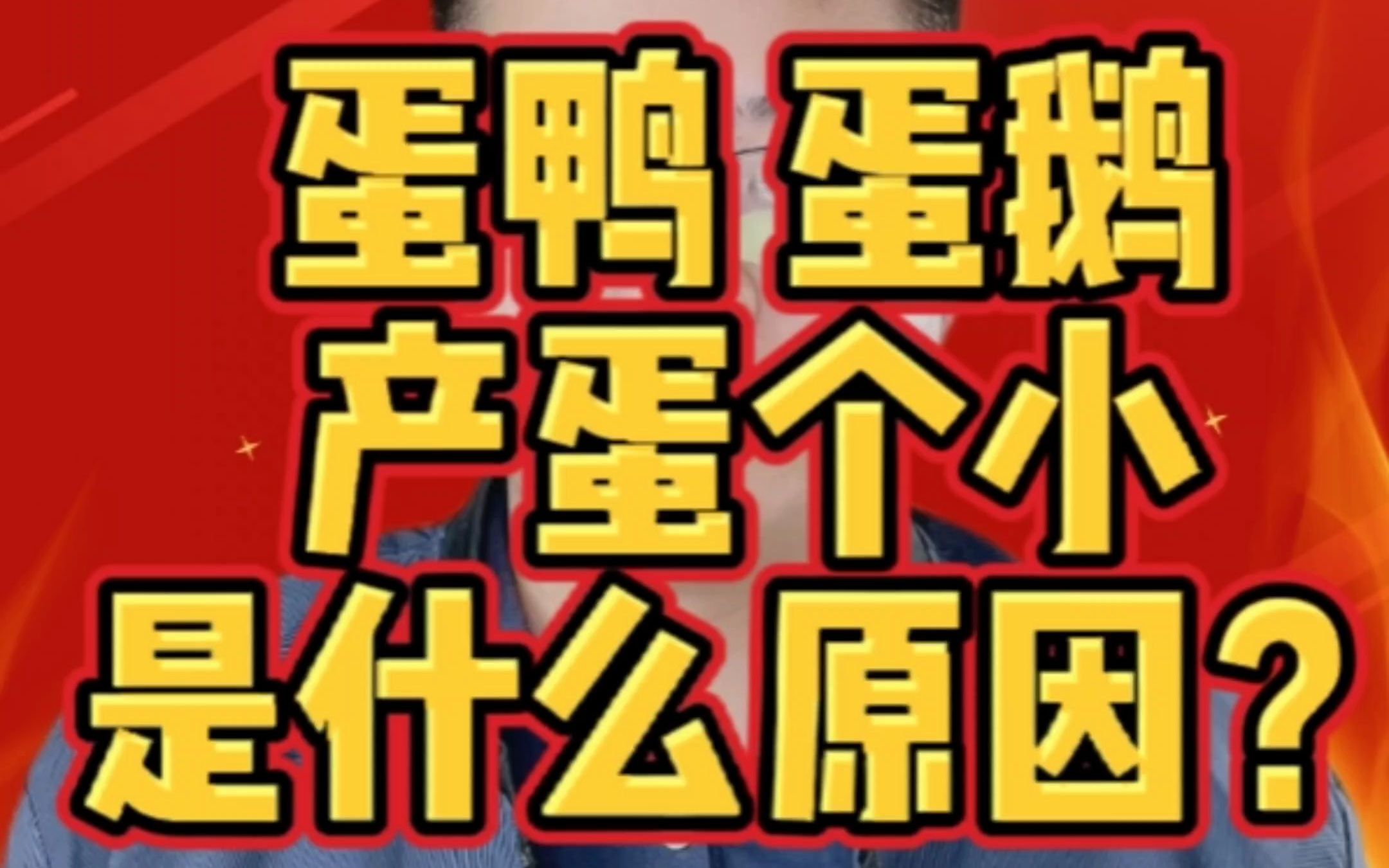 蛋鸭、蛋鹅产蛋个小是什么原因?