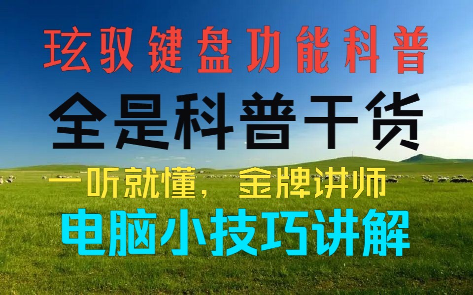Windows 键盘 F1-F12 功能键使用指南