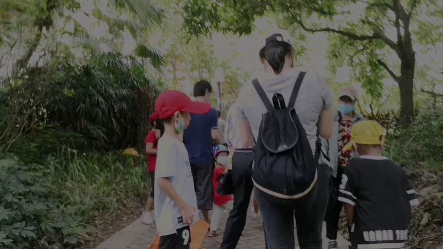 小朋友学校组织志愿服务活动!