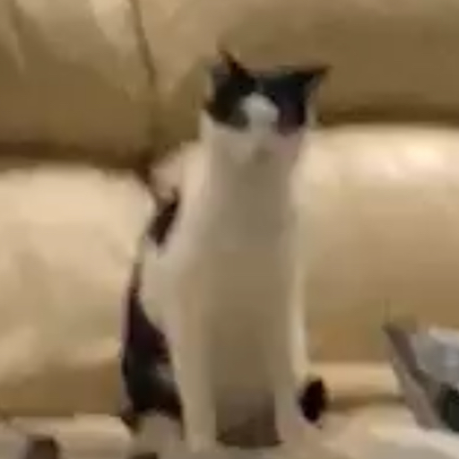 程却 