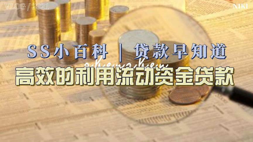 SS小百科:高效地利用您的流动资金贷款