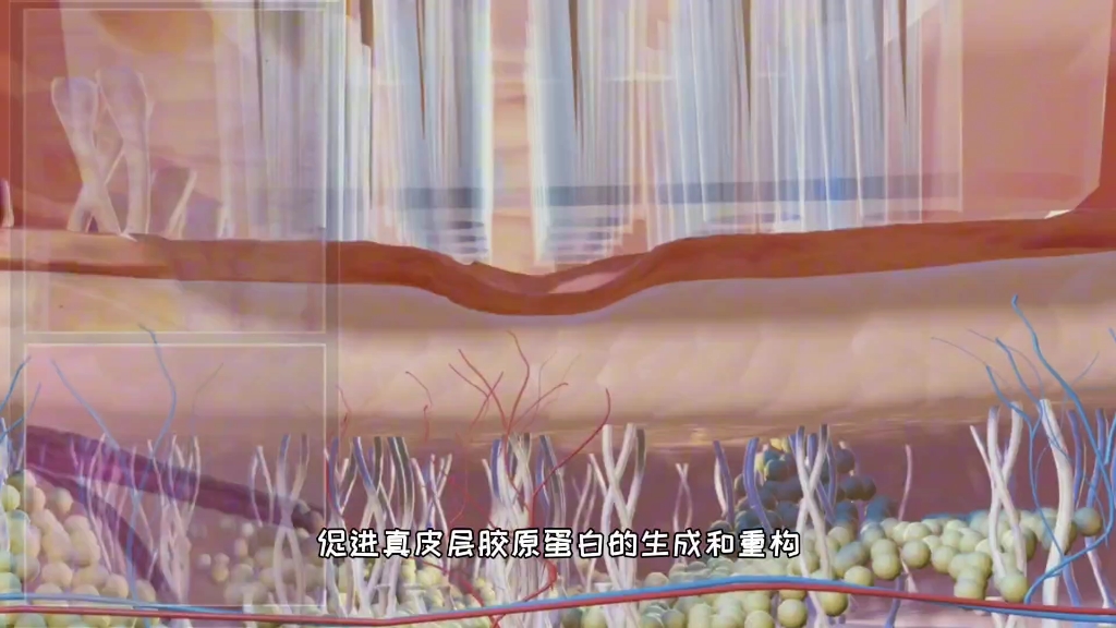 针穿刺皮肤就能美容,微针美容原理,3D演示。