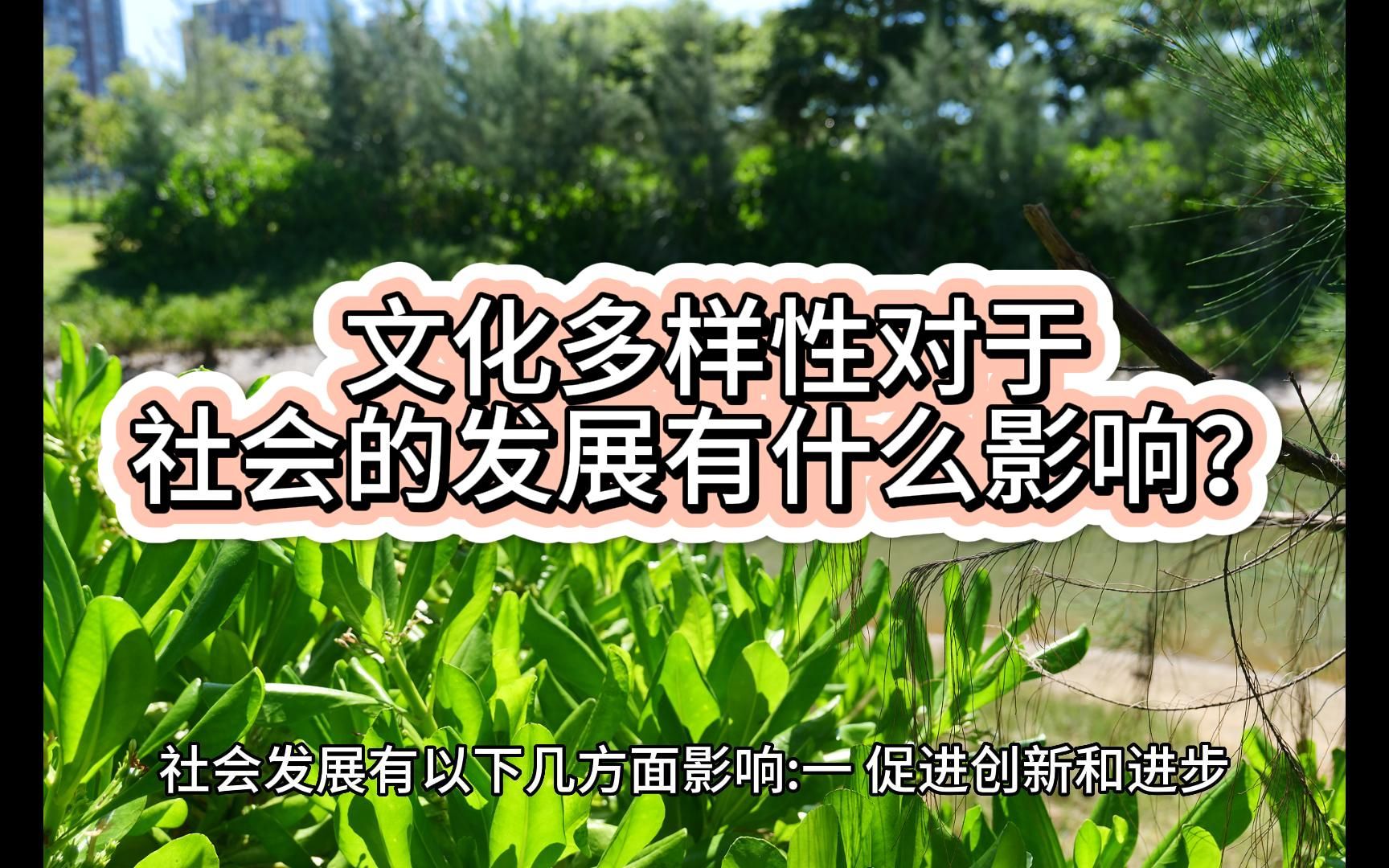 文化多样性对于社会的发展有什么影响?