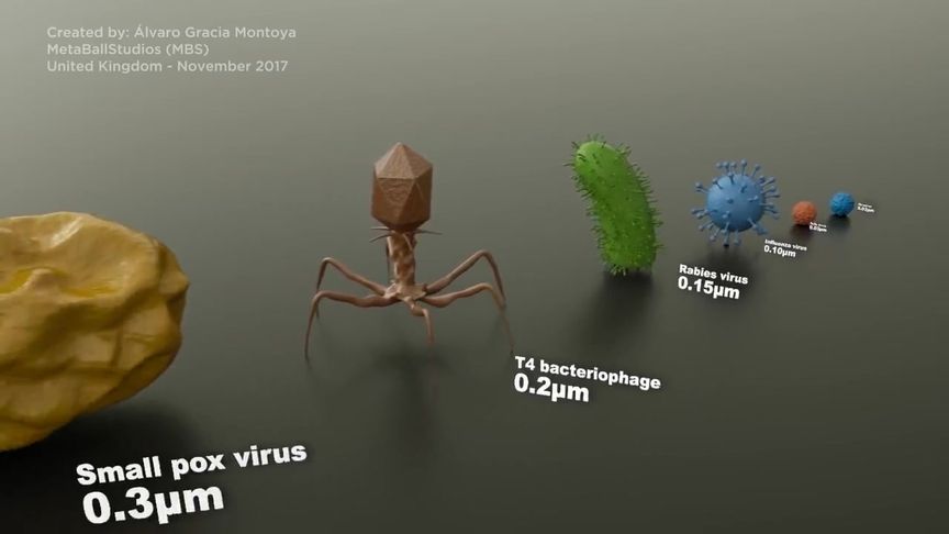 微生物尺寸大比拼,感受一下流感病毒的真实大小