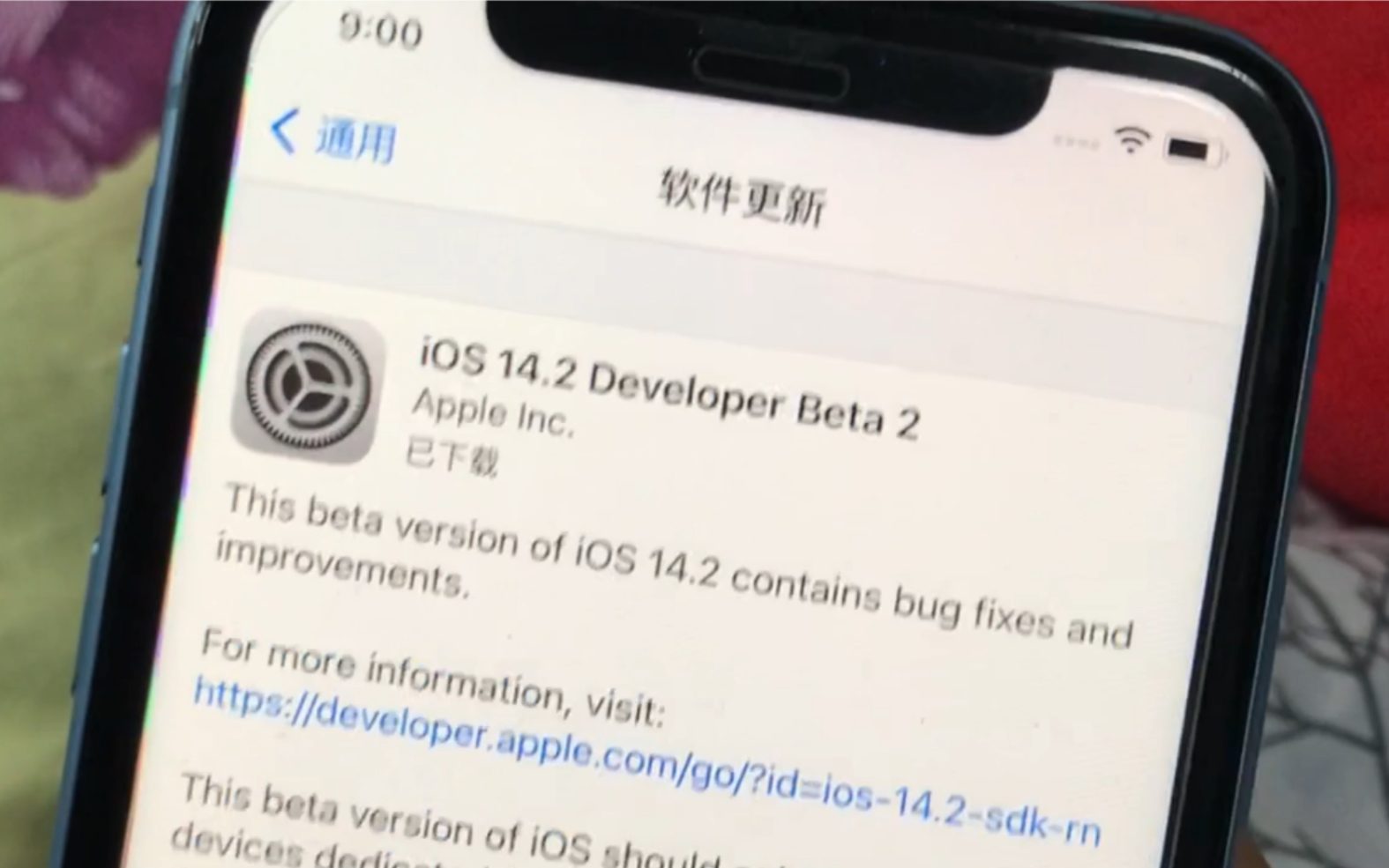我的苹果xr更新了最新的iOS14.2beta2系统会发生什么呢 来看看iOS14...