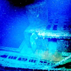 第五巨星与她的朋友们 