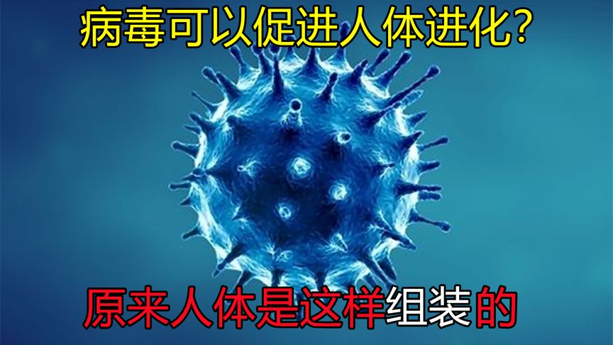 病毒是促进人体进化的?人体原来离不开病毒,人体是组装的?